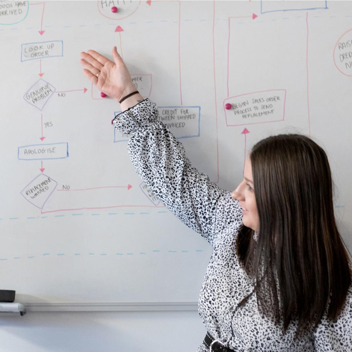 Decent Group Skills Matrix software development tool | Decent Group