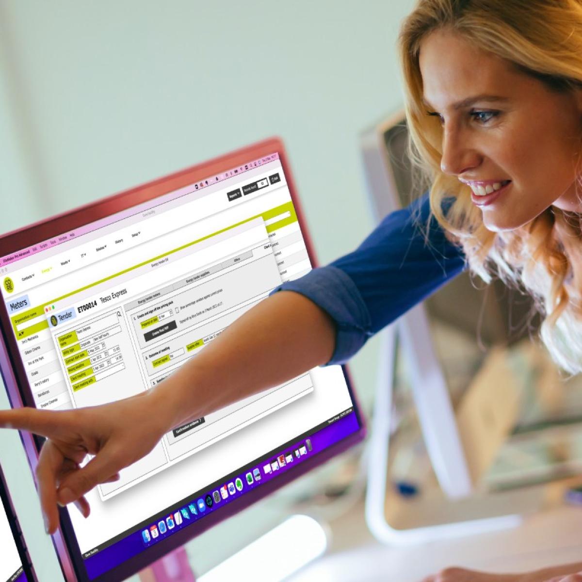 Claris FileMaker system condition report | Decent Group